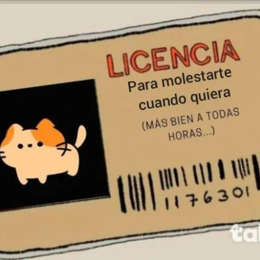 Creator Profile of Talkior-ruanMjqe - Create Your Own AI Characters ...